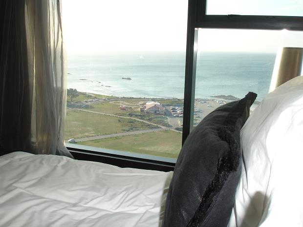Radisson Blu PE – scoring the best suite » TraveLoyalty